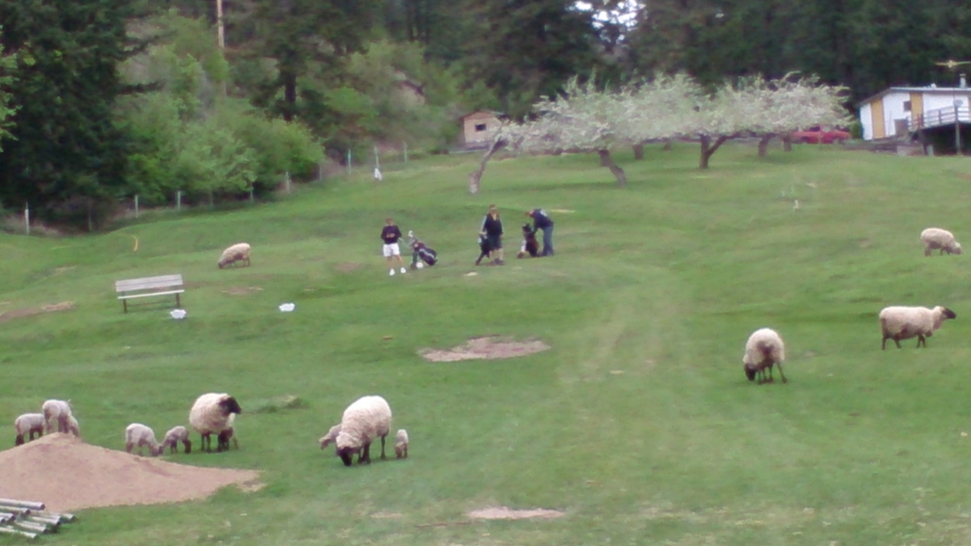 Photo Gallery - Lillooet Sheep Pasture Golf Course